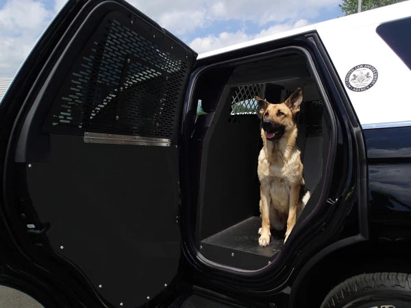 Havis Standard K9 Transport System For 2018-2024 Ford Expedition - Bla – YP Signal Corp